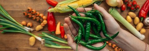 Kalori Cetveli - Besinlerin Kalori Değerleri Nelerdir? - Kolay Hesapla Blog